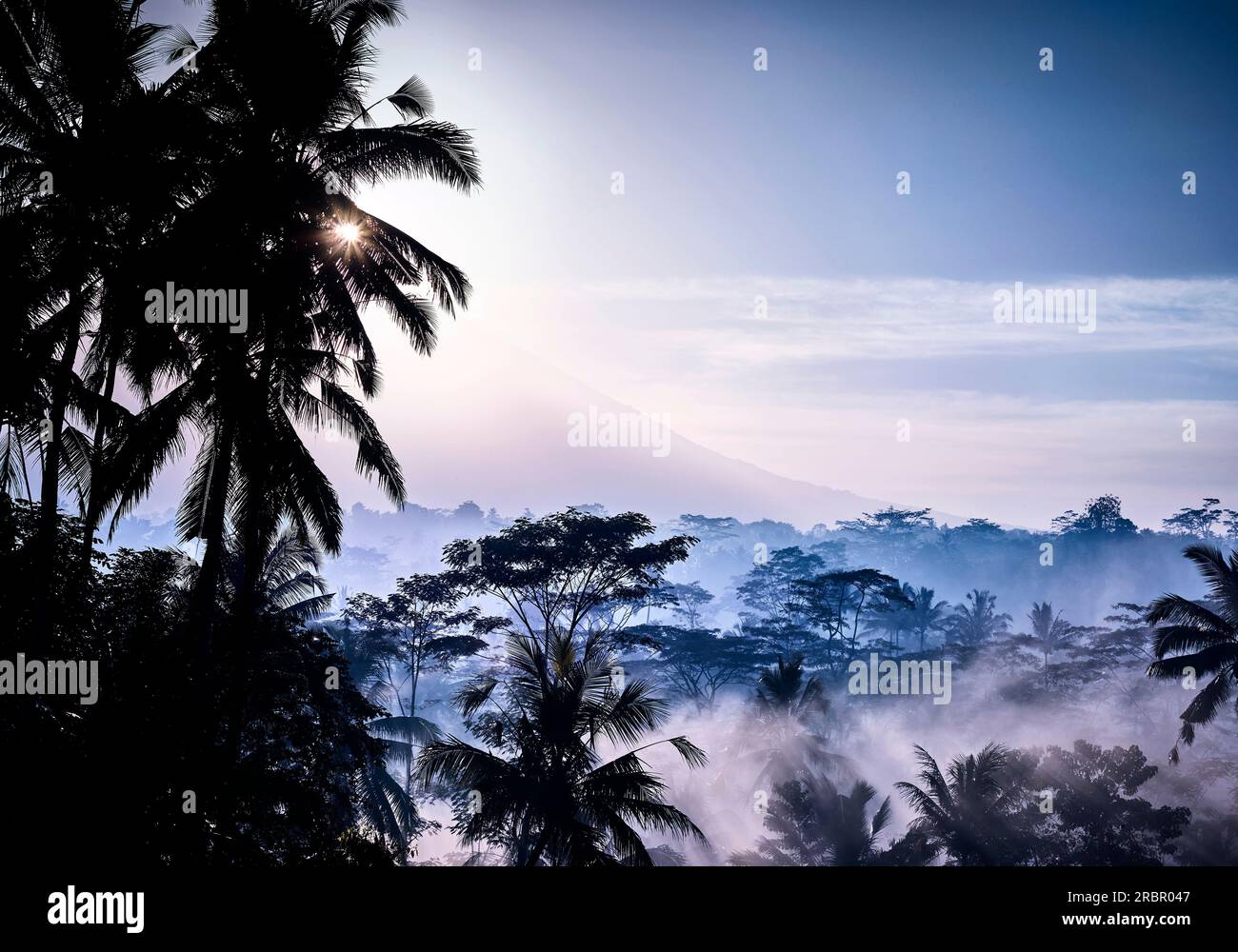 The atmosphere of rice fields in indonesia where the rice hi-res stock ...
