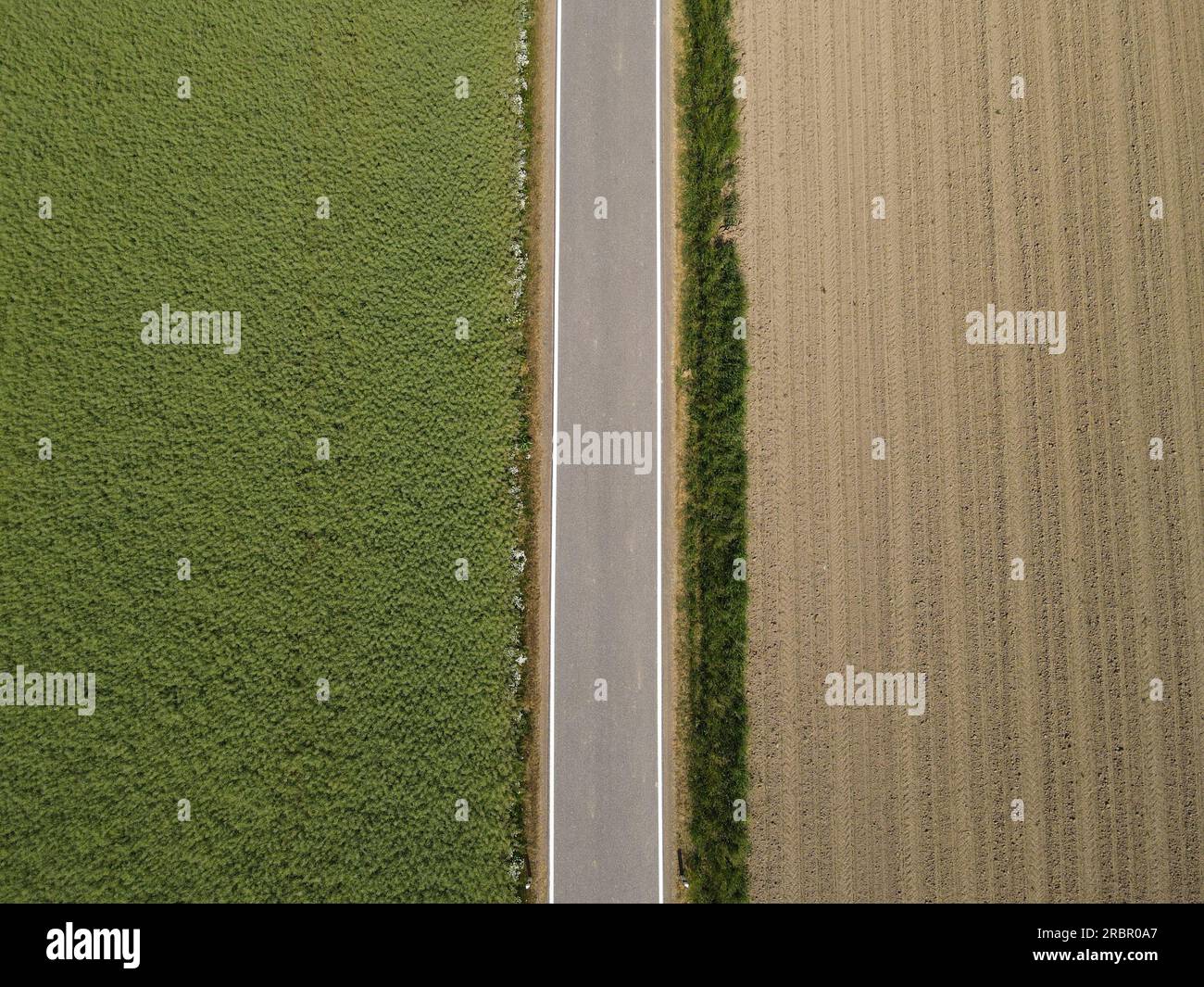 View from above of a asphalt road between a green growing crop field ...