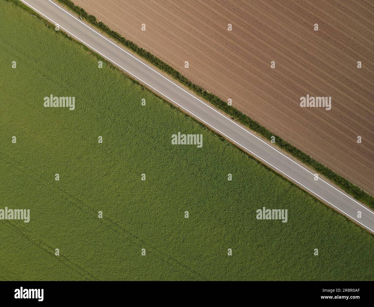 View from above of a asphalt road between a green growing crop field ...