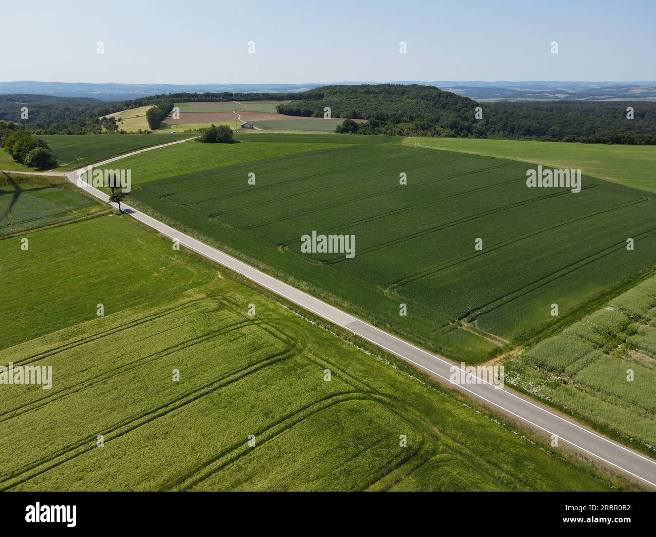Landscape with green growing crop fields, trees, a asphalt road and a ...