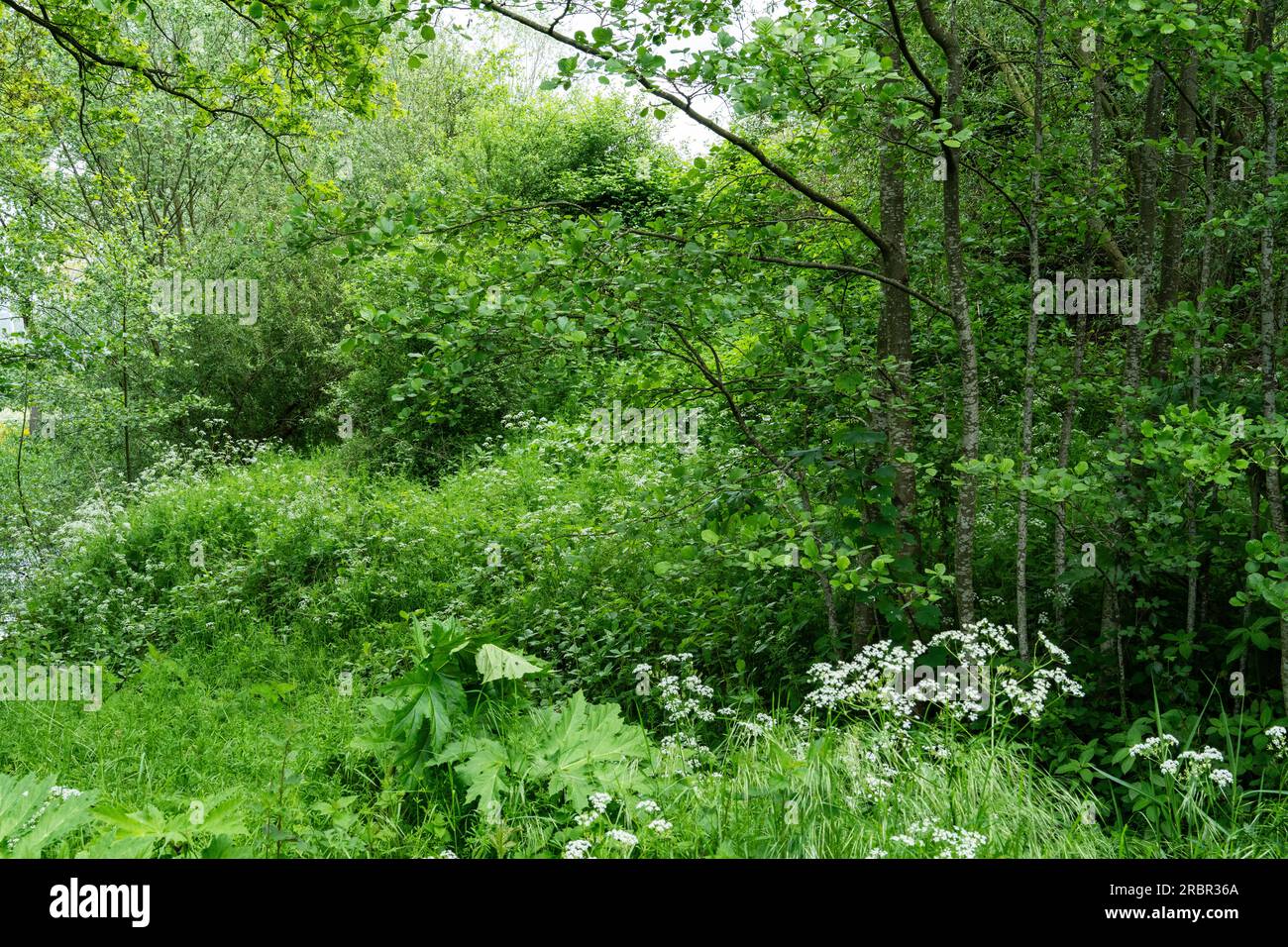 Nature management hi-res stock photography and images - Alamy