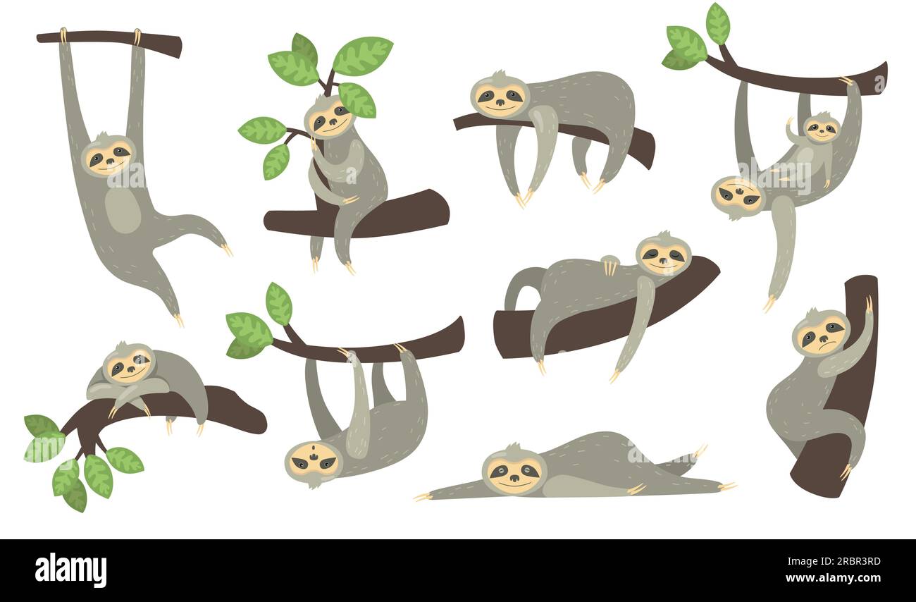 Cute sleepy sloth on branch flat icon set Stock Vector Image & Art - Alamy