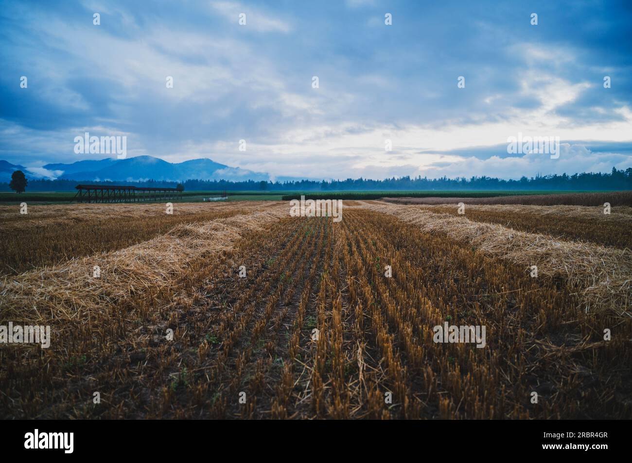 Agronomy distance hi-res stock photography and images - Alamy