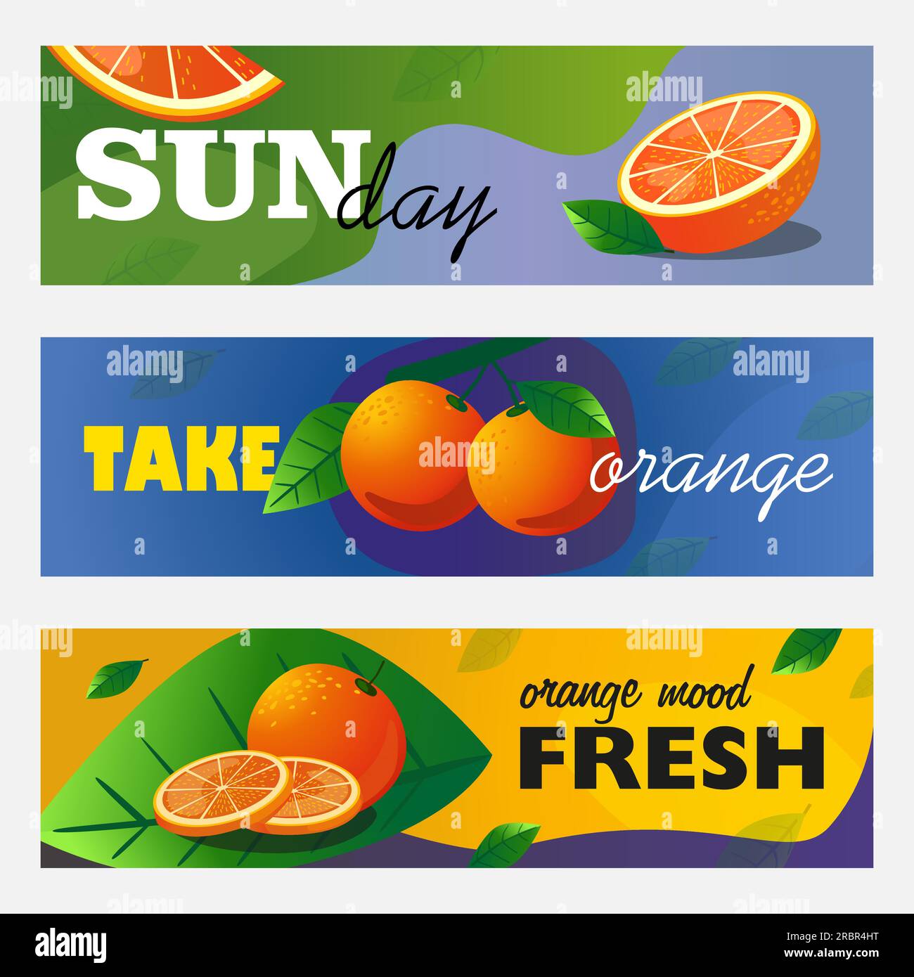 Citrus sample Stock Vector Images - Alamy