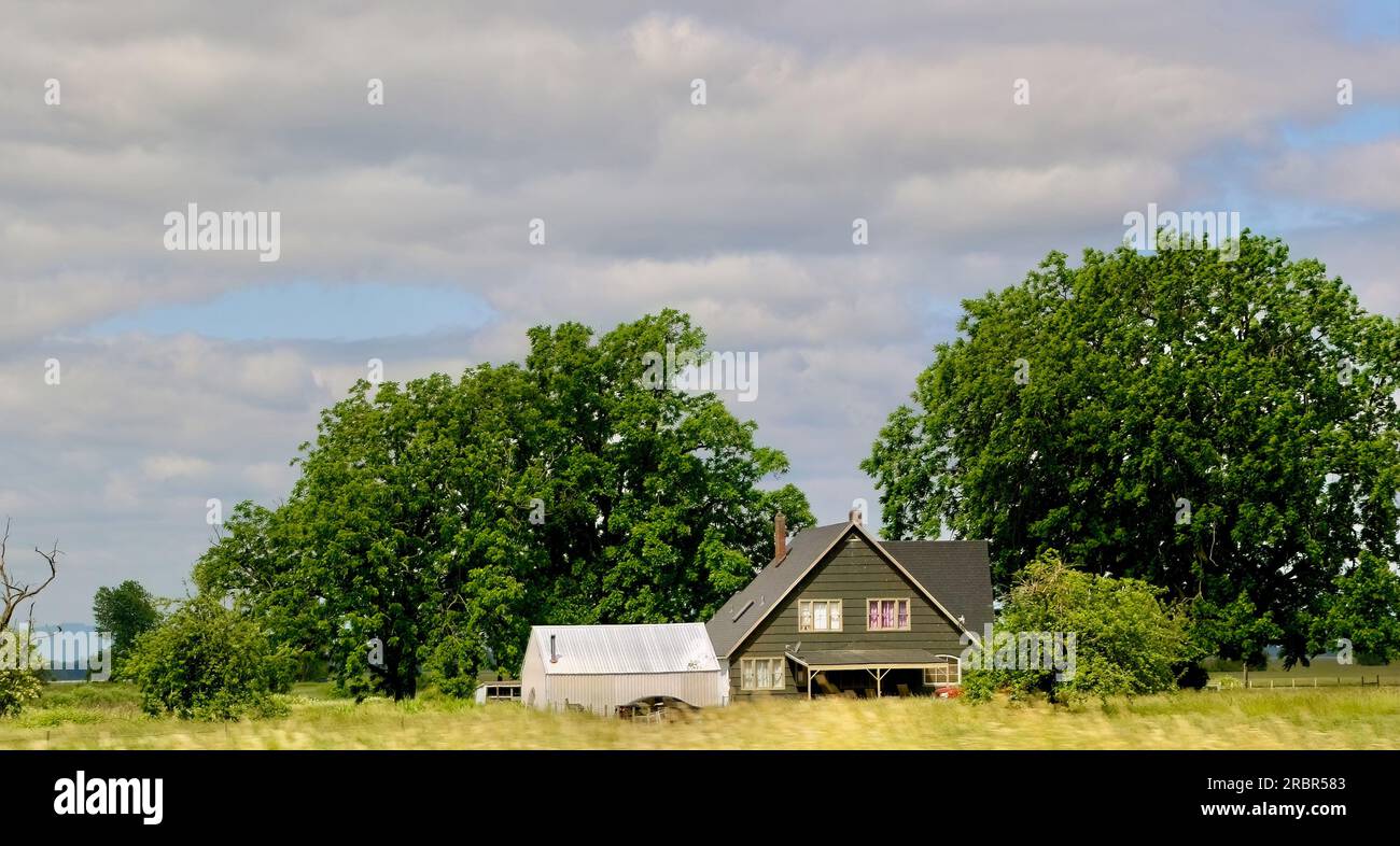 Typical farmhouse with mature trees Oregon USA Stock Photo - Alamy