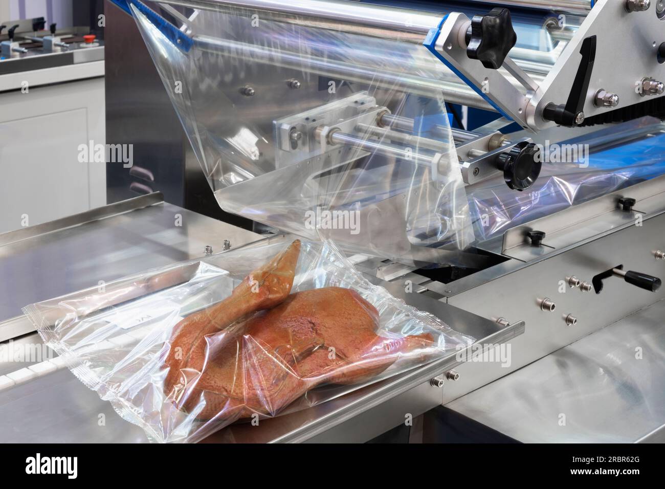 Linear food plastic tray package heat sealing machine. Food industry ...
