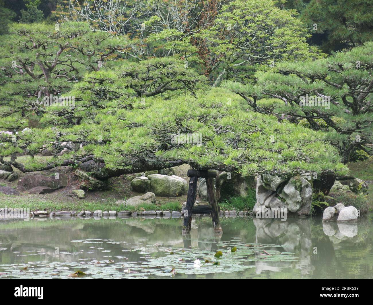 Japan's top gardens: Ritsurin Garden has all the design features of ...