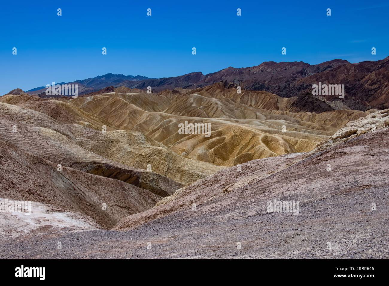 Colorful Death Valley National Park in the Spring time Stock Photo - Alamy