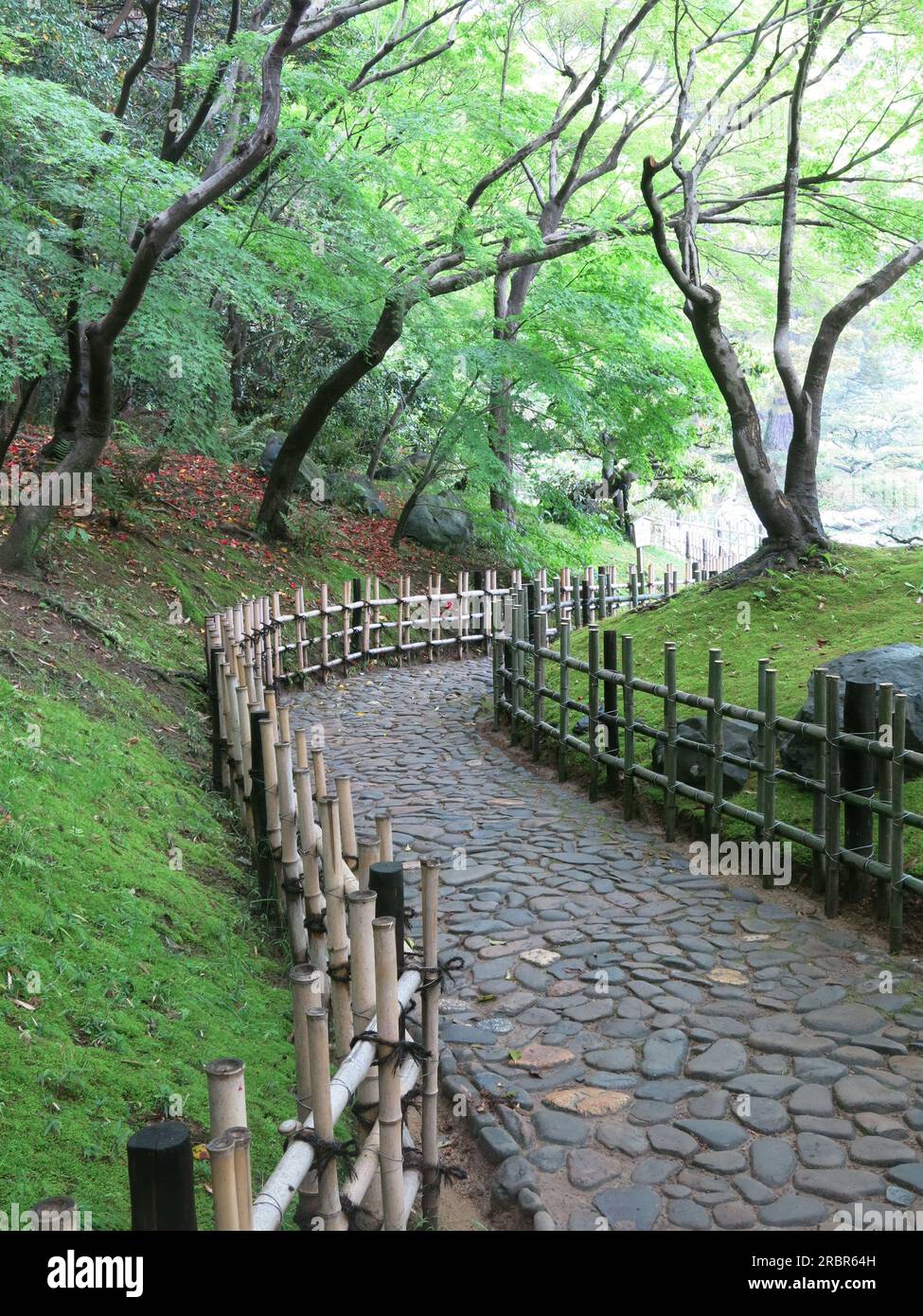 Japanese garden design: a cobbled path edged by an artisan fence ...