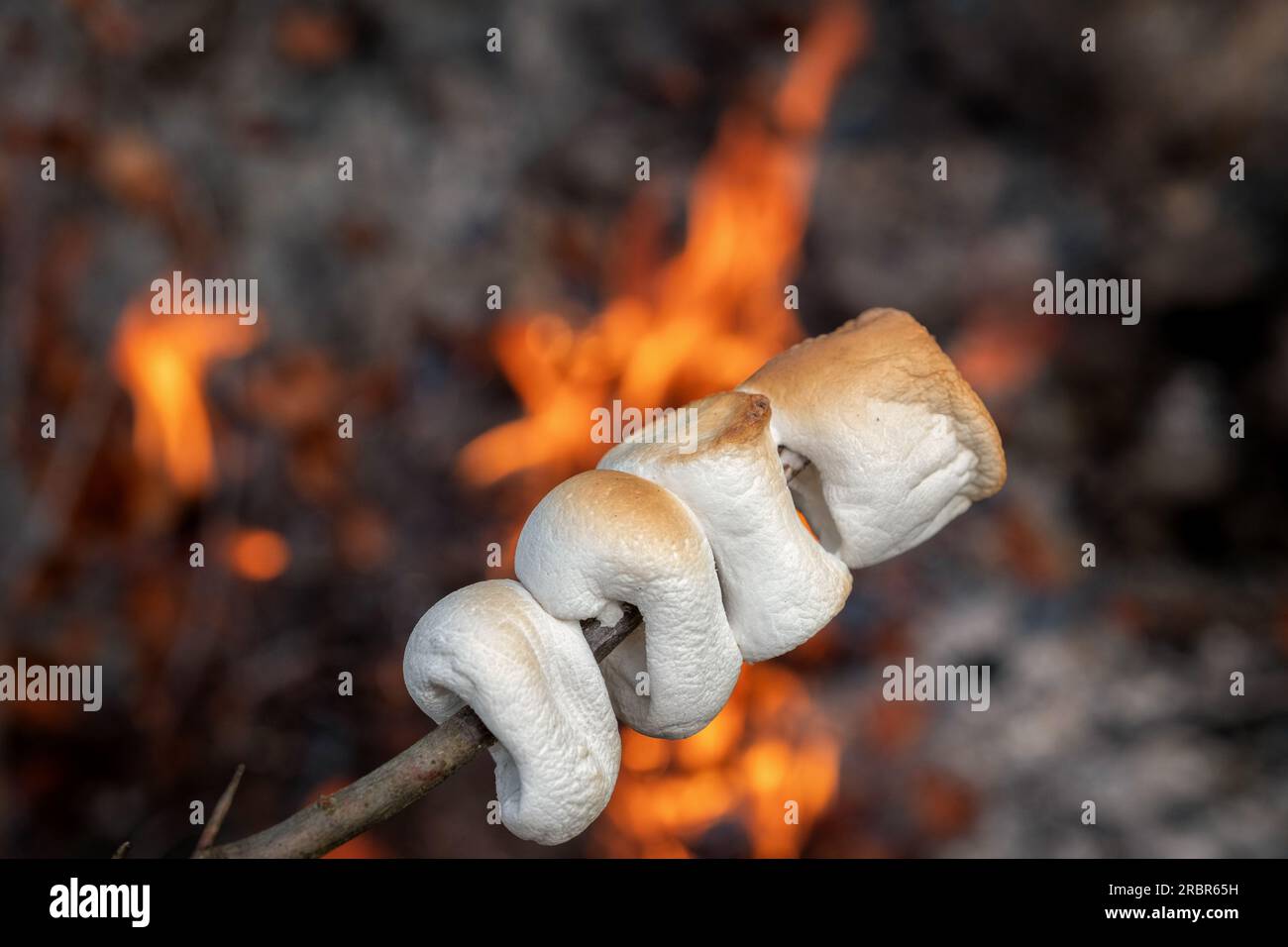 Marshmallow cooked on the fire. Marshmallow bbq Stock Photo - Alamy