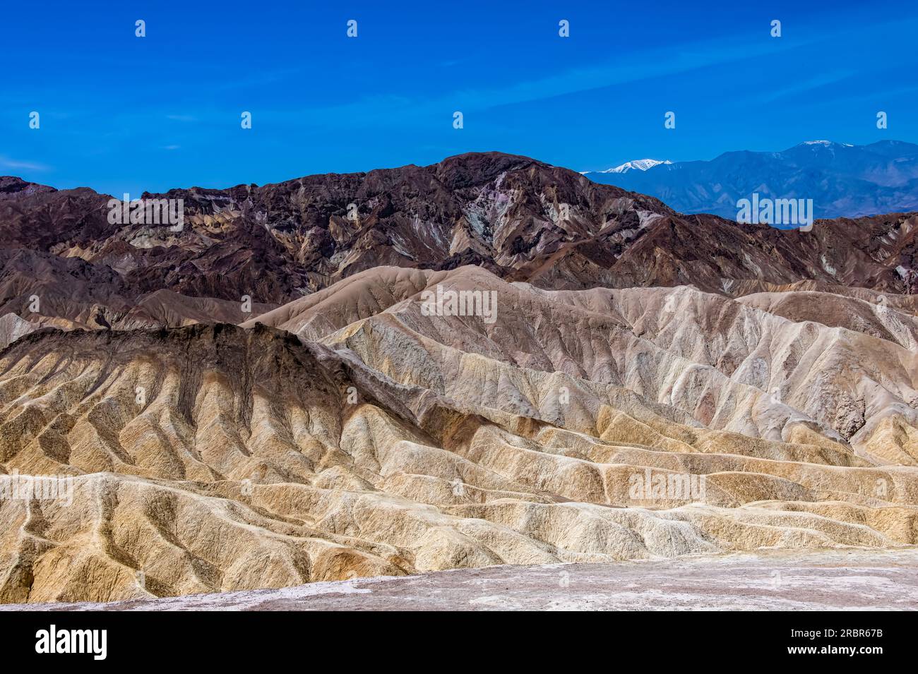 Colorful Death Valley National Park in the Spring time Stock Photo - Alamy