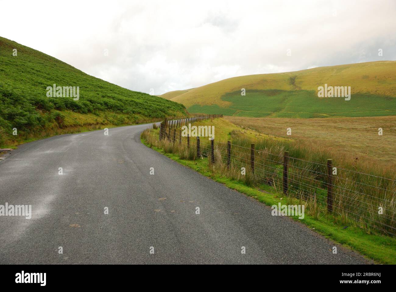 Wales Countryside with wildflowers and rivers Stock Photo - Alamy