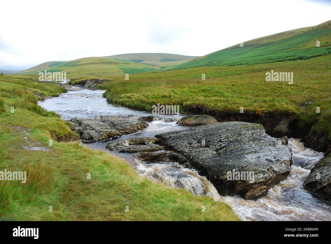 Wales Countryside with wildflowers and rivers Stock Photo - Alamy