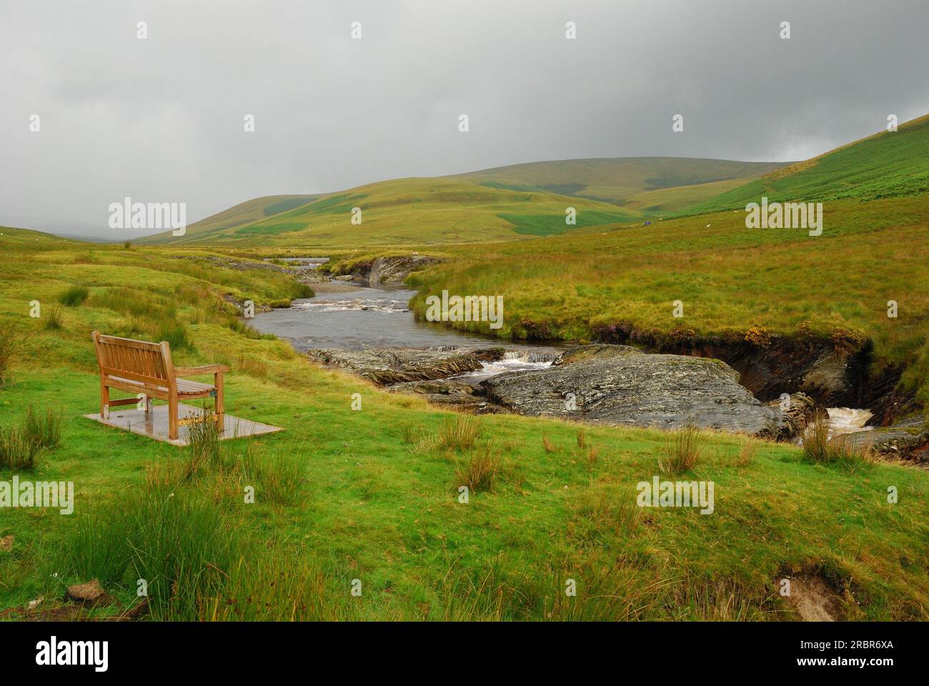 Wales Countryside with wildflowers and rivers Stock Photo - Alamy