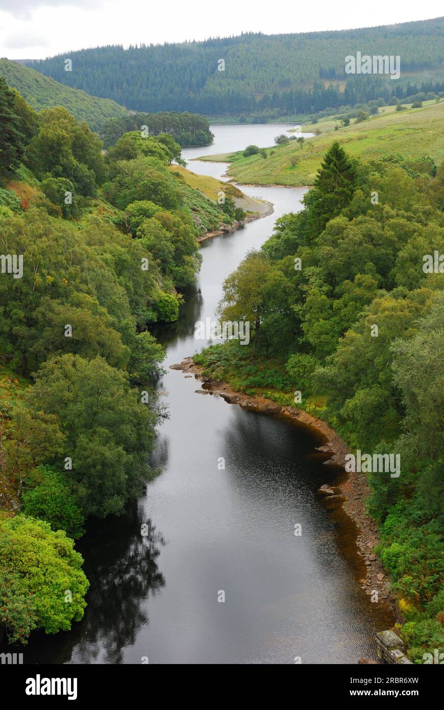 Wales Countryside with wildflowers and rivers Stock Photo - Alamy