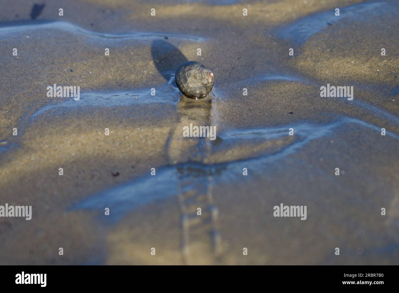Sand trail hi-res stock photography and images - Alamy