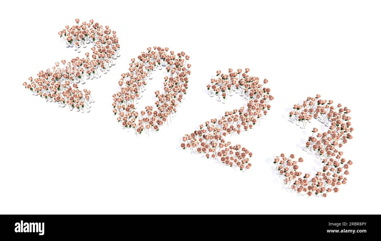 Concept conceptual set of beautiful blooming pink roses bouquets ...