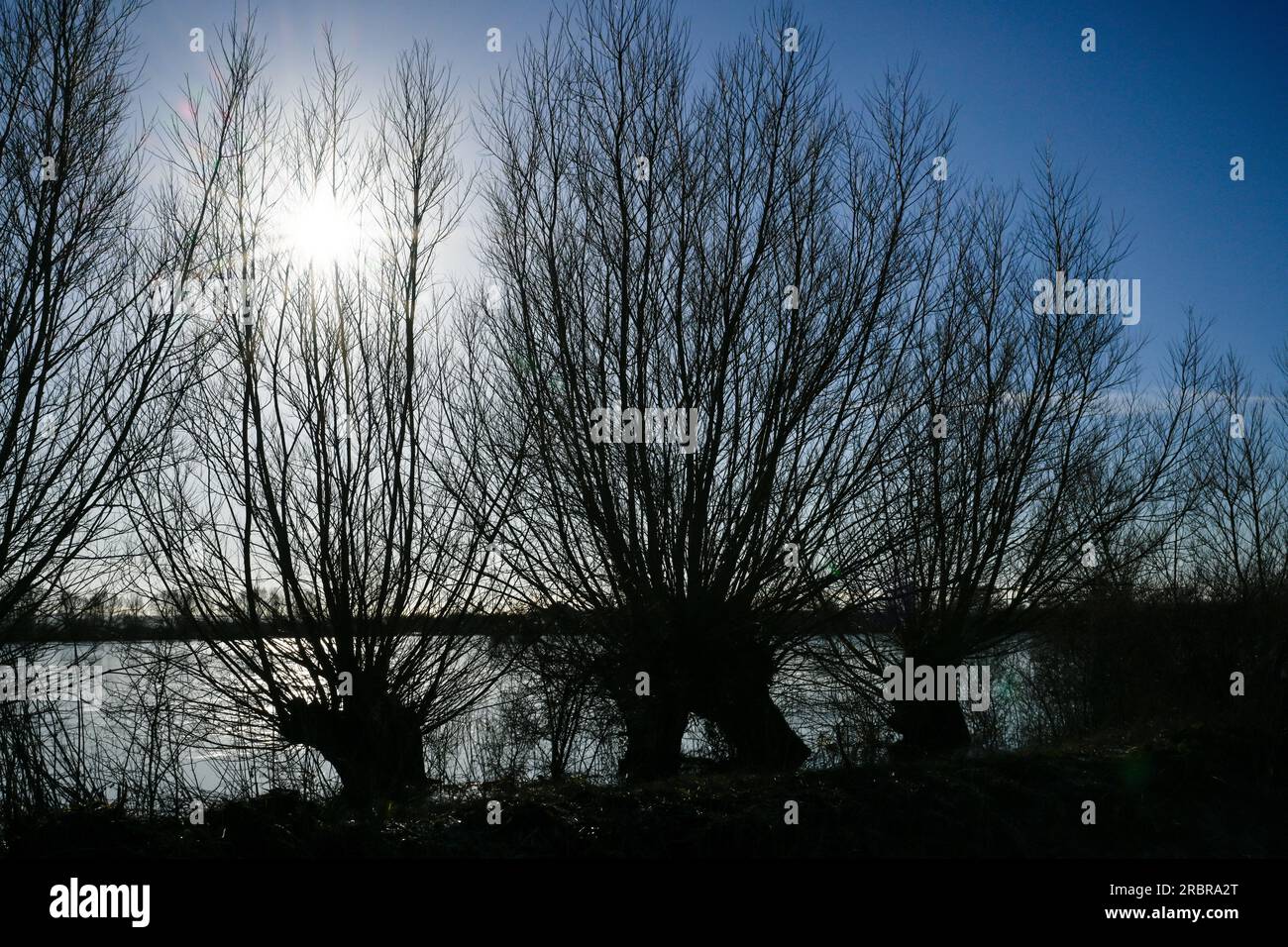 Somerset levels flood defense hi-res stock photography and images - Alamy
