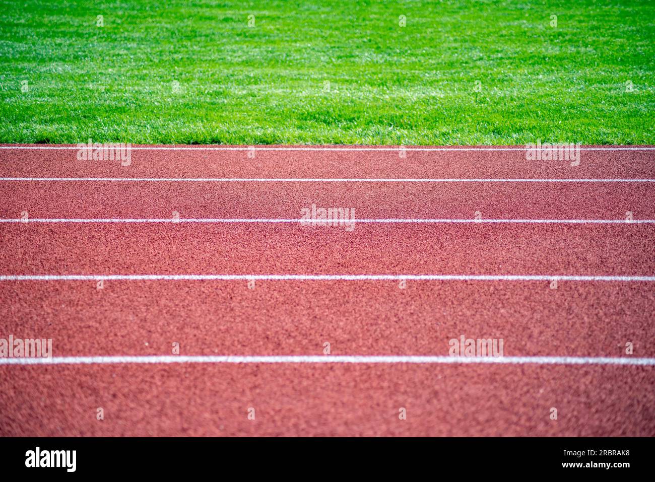 Athletic track for running races track and field events. Closeup of ...