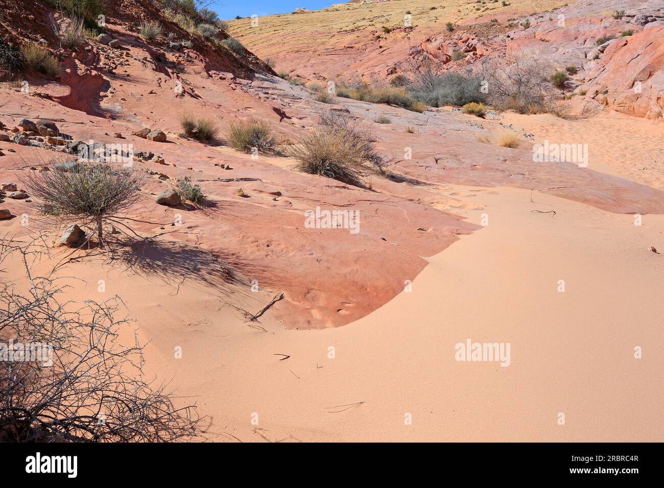 Pink sand in Pink Canyon - Valley of Fire State Park, Nevada Stock ...