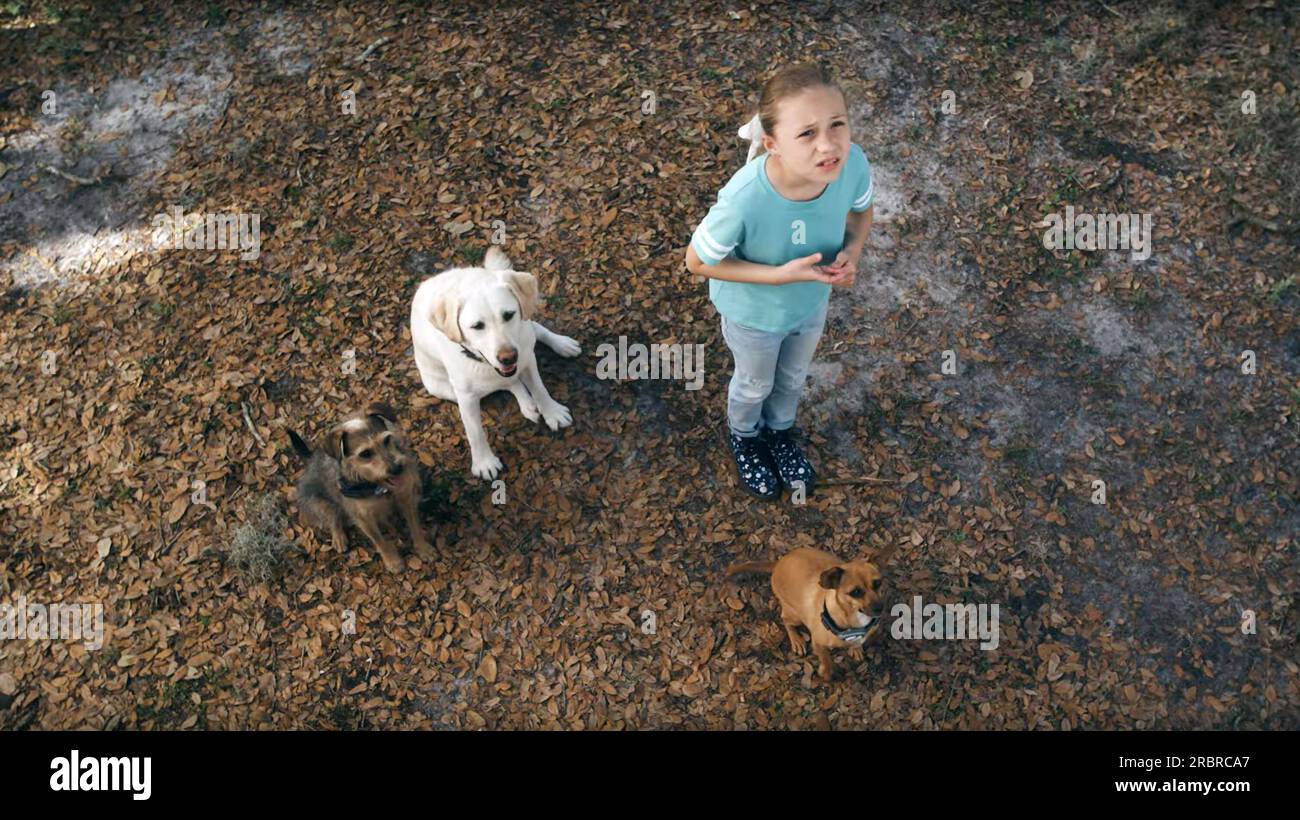 SPACE PUPS, from left: Mac, Parker, Salsa, Riley Madison Fuller (top ...