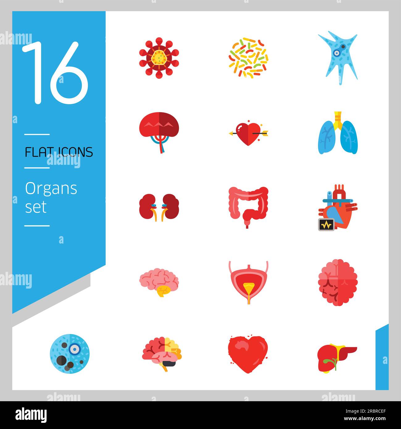 Organs Icon Set Stock Vector Image & Art - Alamy