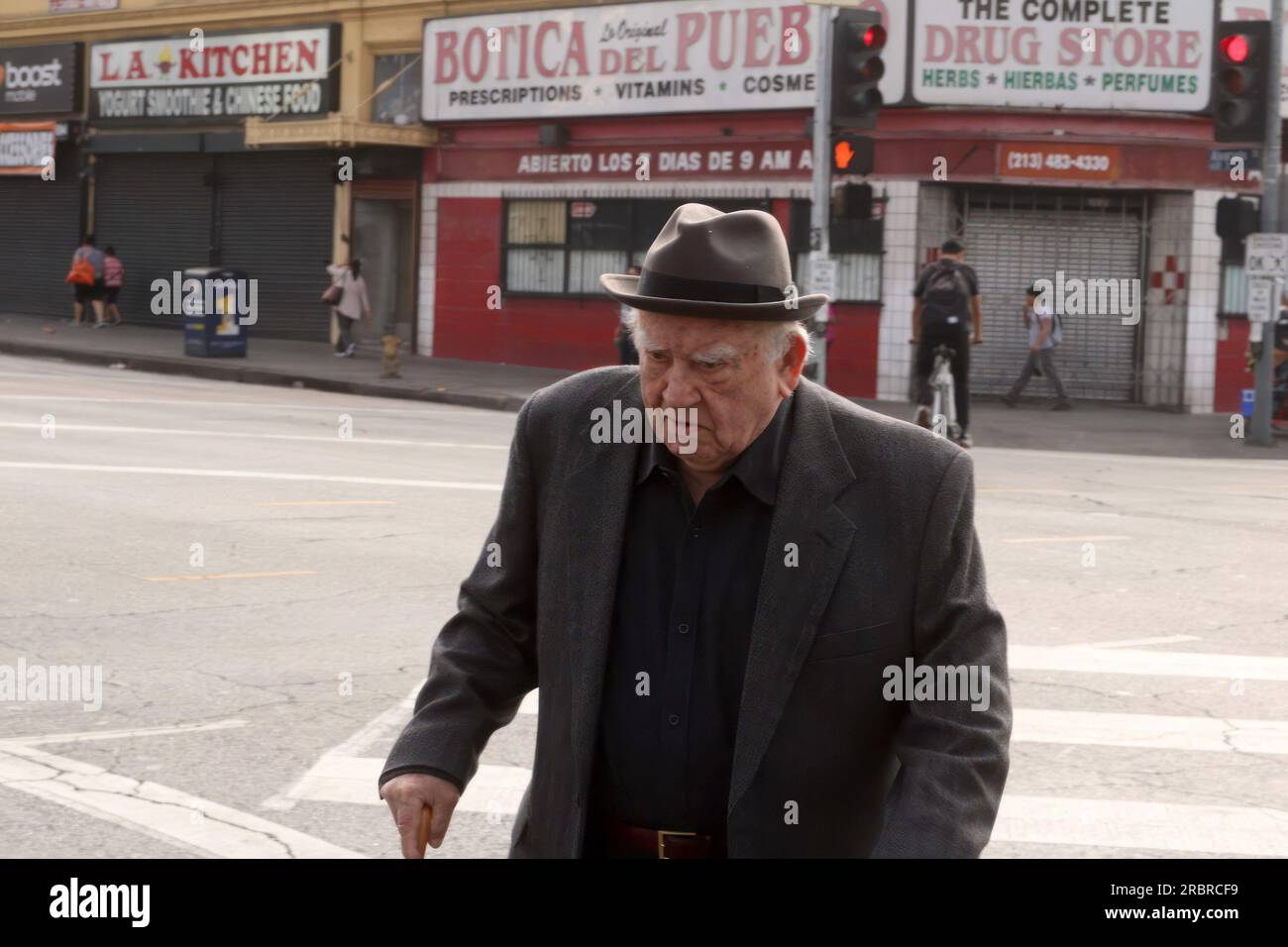 TIGER WITHIN, Edward Asner, 2023. © Film Art Movies /Courtesy Everett ...