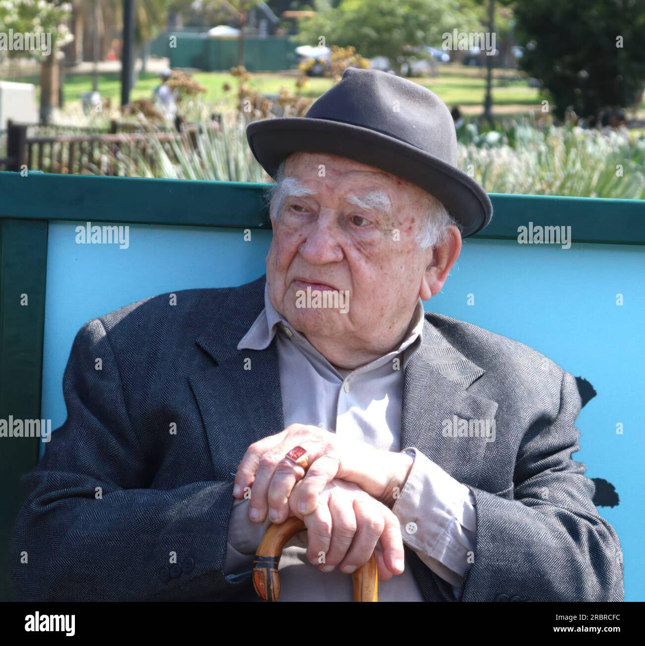 TIGER WITHIN, Edward Asner, 2023. © Film Art Movies /Courtesy Everett ...