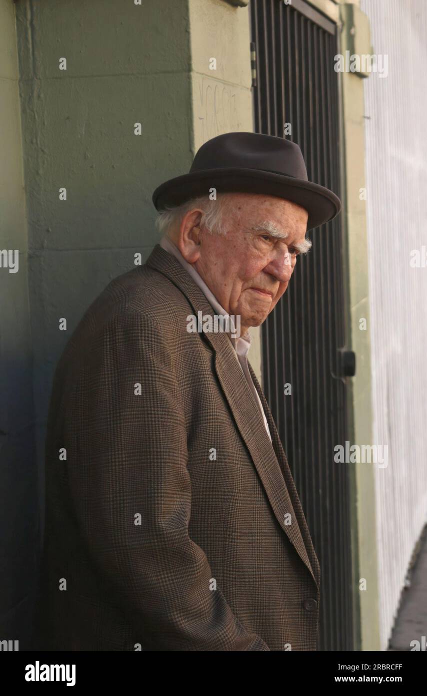 TIGER WITHIN, Edward Asner, 2023. © Film Art Movies /Courtesy Everett ...