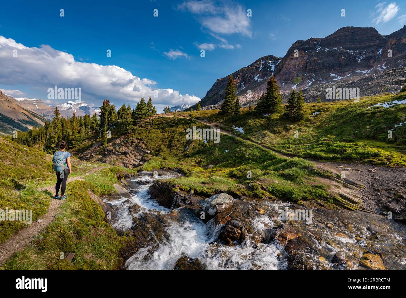 Banff National Park Hiker on a Helen Lake trail Alberta Canada Stock ...