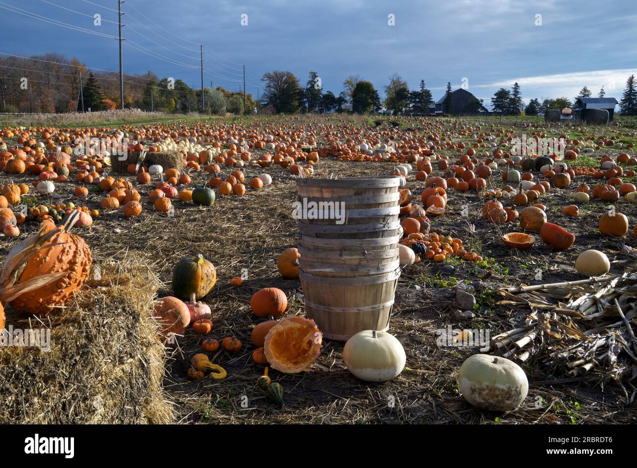 A colourful roadside pumpkin patch in a small rural community in ...