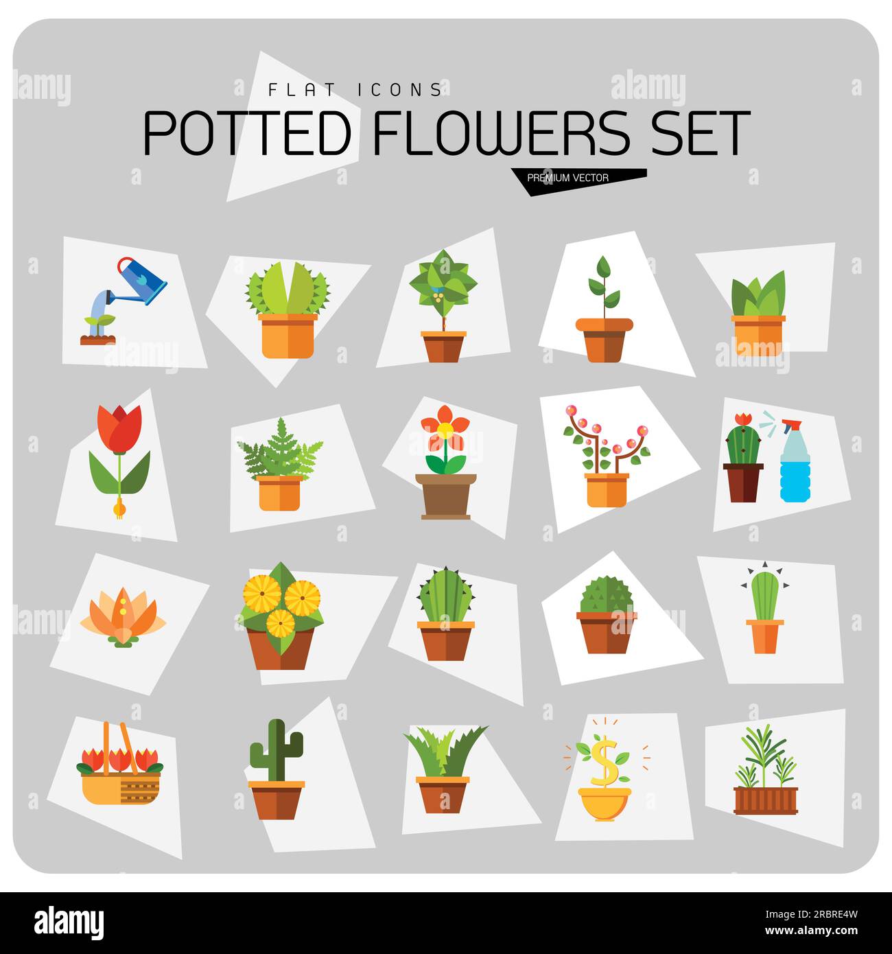 Dollar plant flowers Cut Out Stock Images & Pictures - Alamy