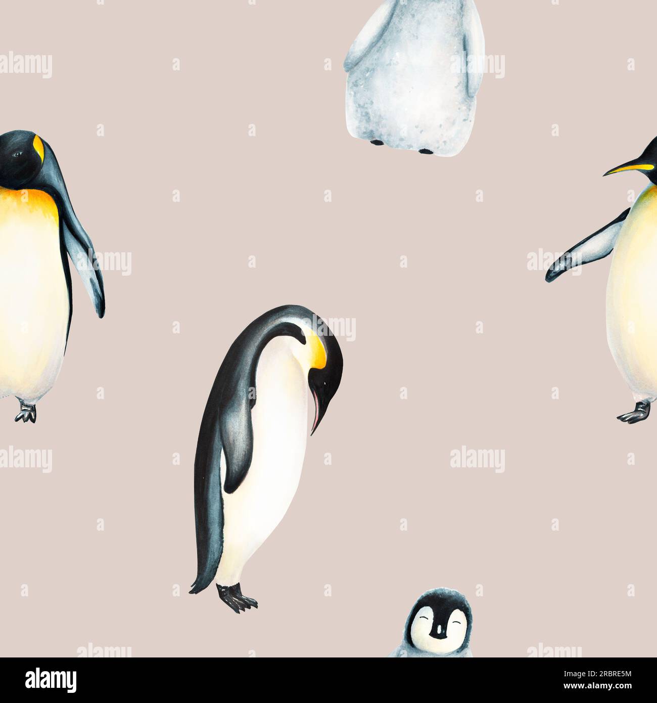 Watercolor seamless pattern with king penguin family isolated. Hand ...