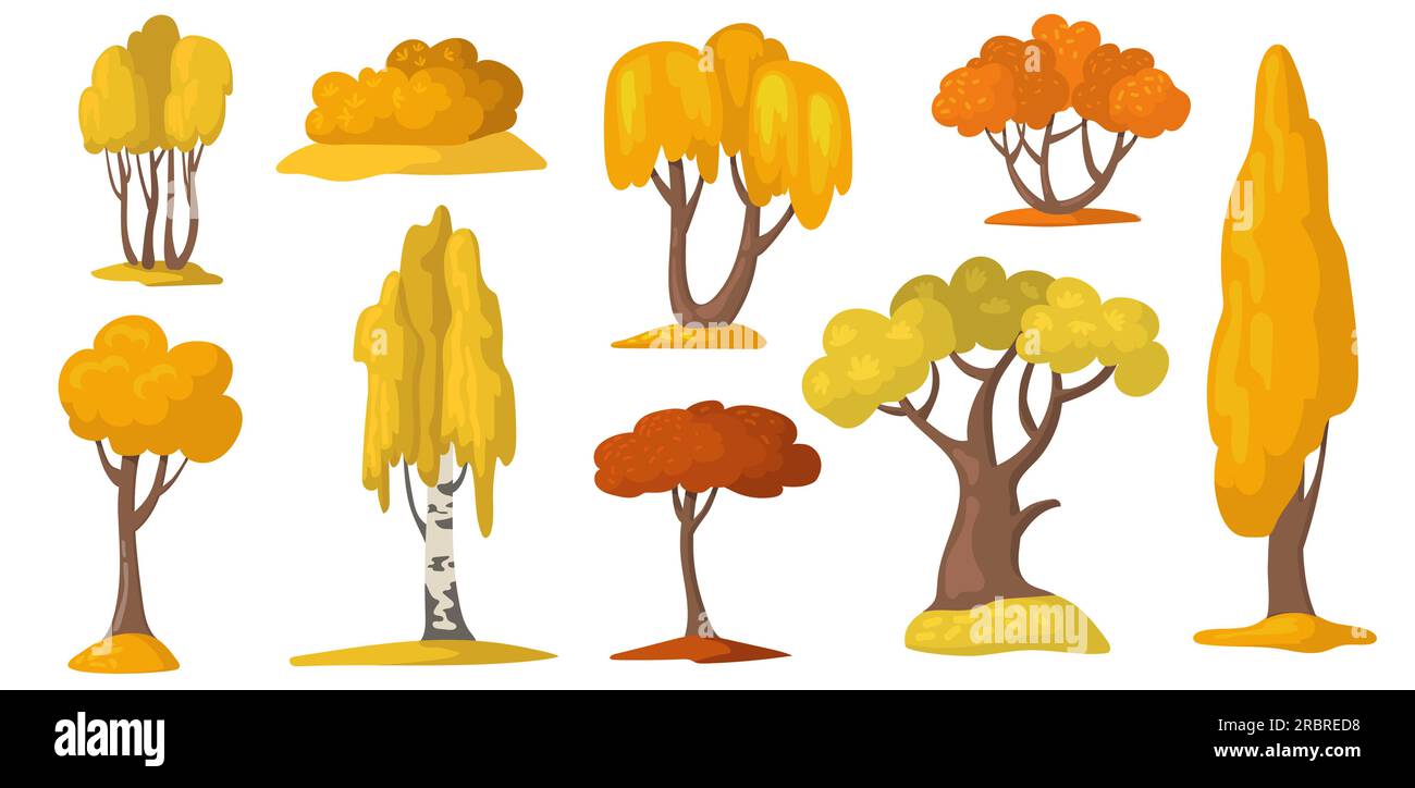 Autumn trees moss Cut Out Stock Images & Pictures - Alamy