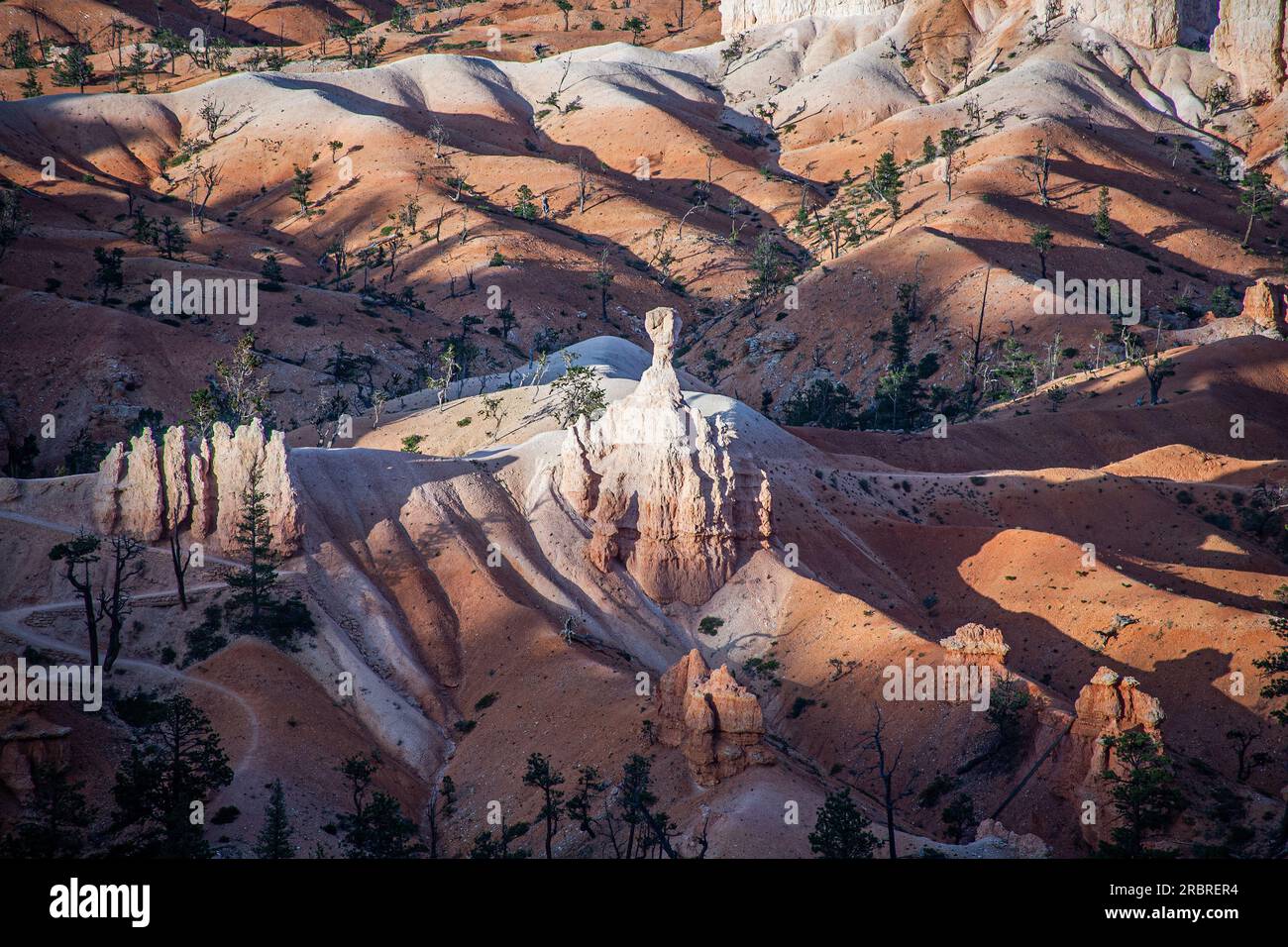 beautiful landscape in Bryce Canyon with magnificent Stone formation ...