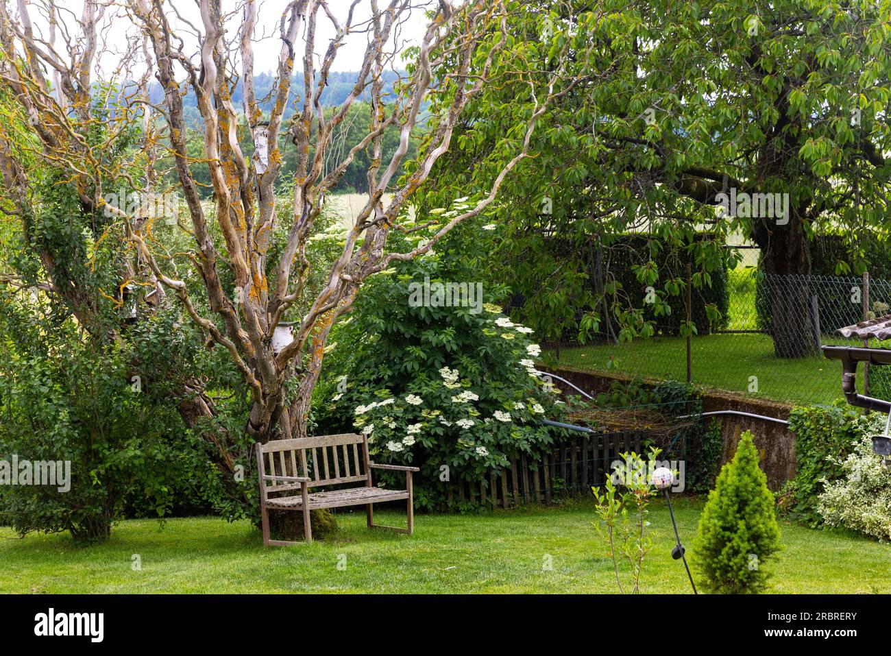 Wooden Bench in garden surround blooming plants and trees for relaxing ...