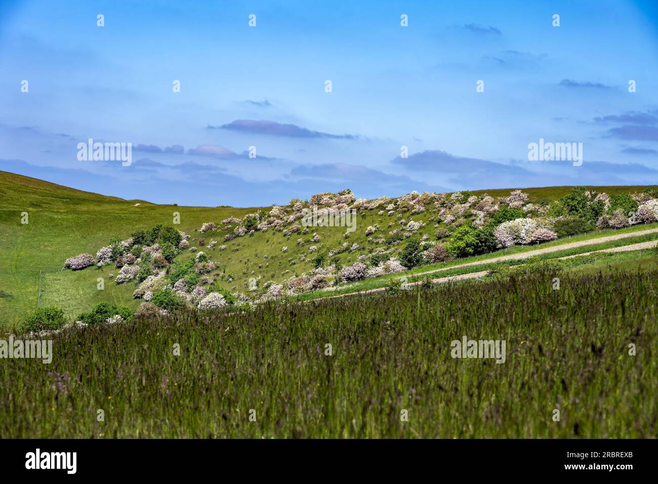 View of Malling Down nature reserve, East Sussex, England Stock Photo ...