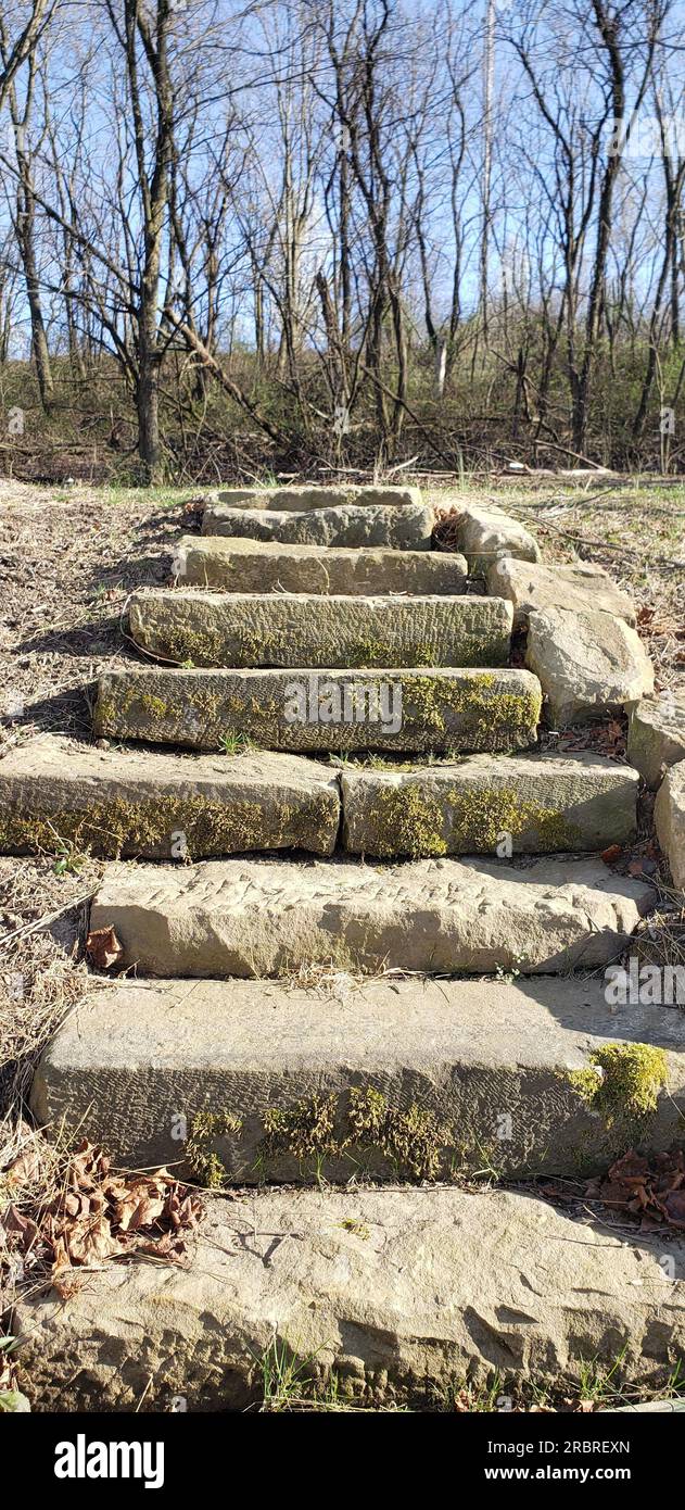 Risescale hi-res stock photography and images - Alamy