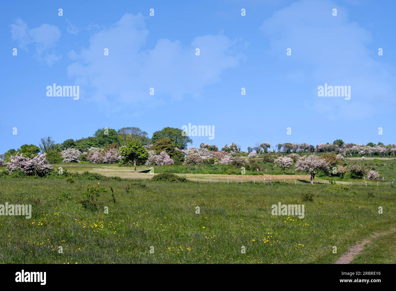 View of Malling Down nature reserve, East Sussex, England Stock Photo ...