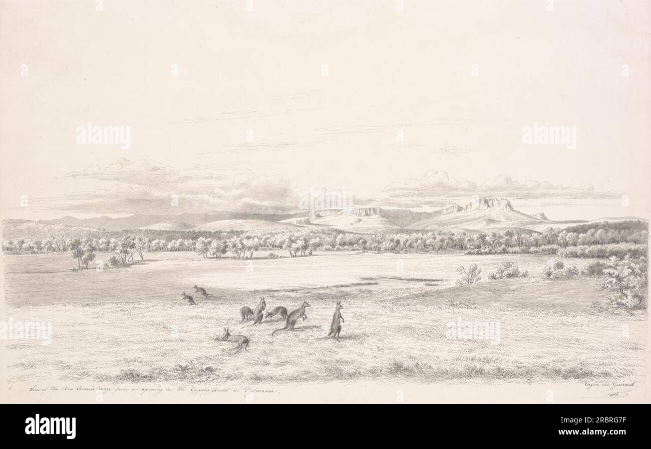 View of the Ben Lomond Range from an opening in the Epping Forest in ...