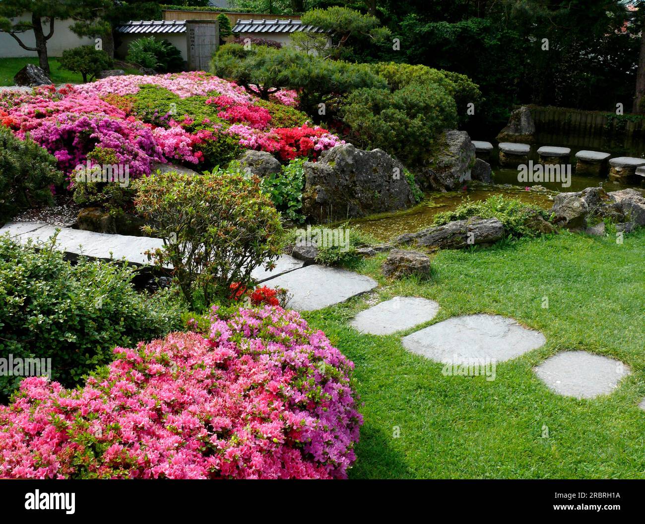 Ludwigsburg Flowering Baroque, in the Japanese Garden, azalea blossom ...