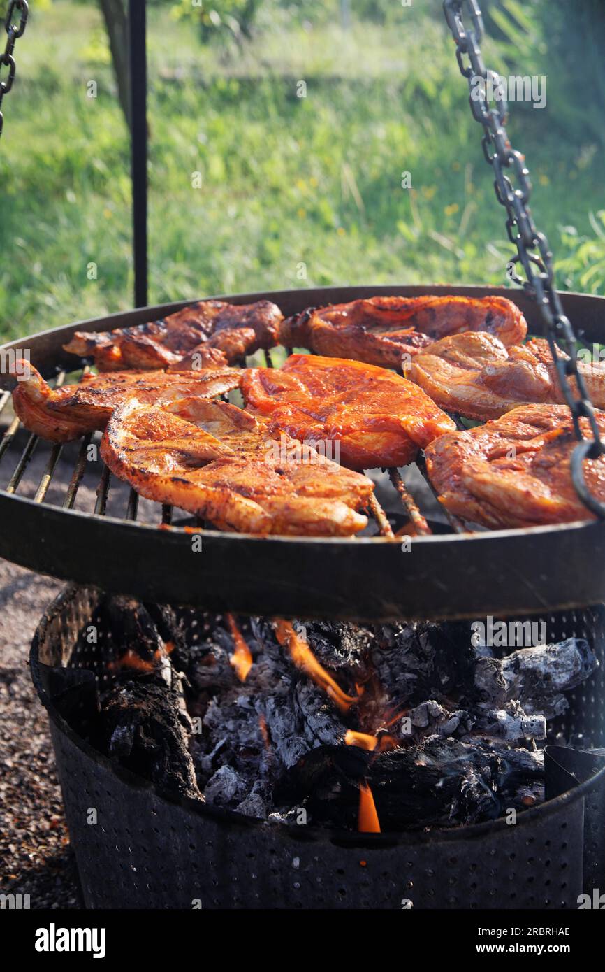 Grillage hi-res stock photography and images - Alamy