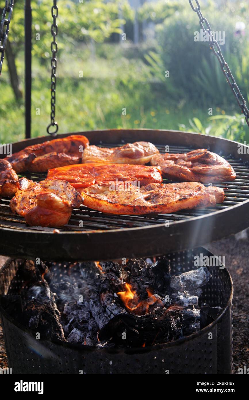 Barbecue grillage hi-res stock photography and images - Alamy