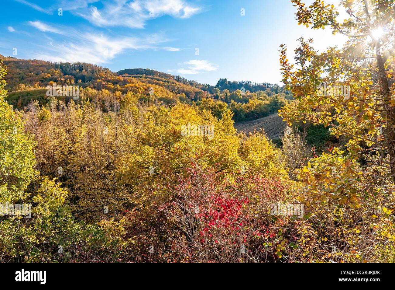 The Cesane forest in the Marche region of Italy between Pesaro and ...