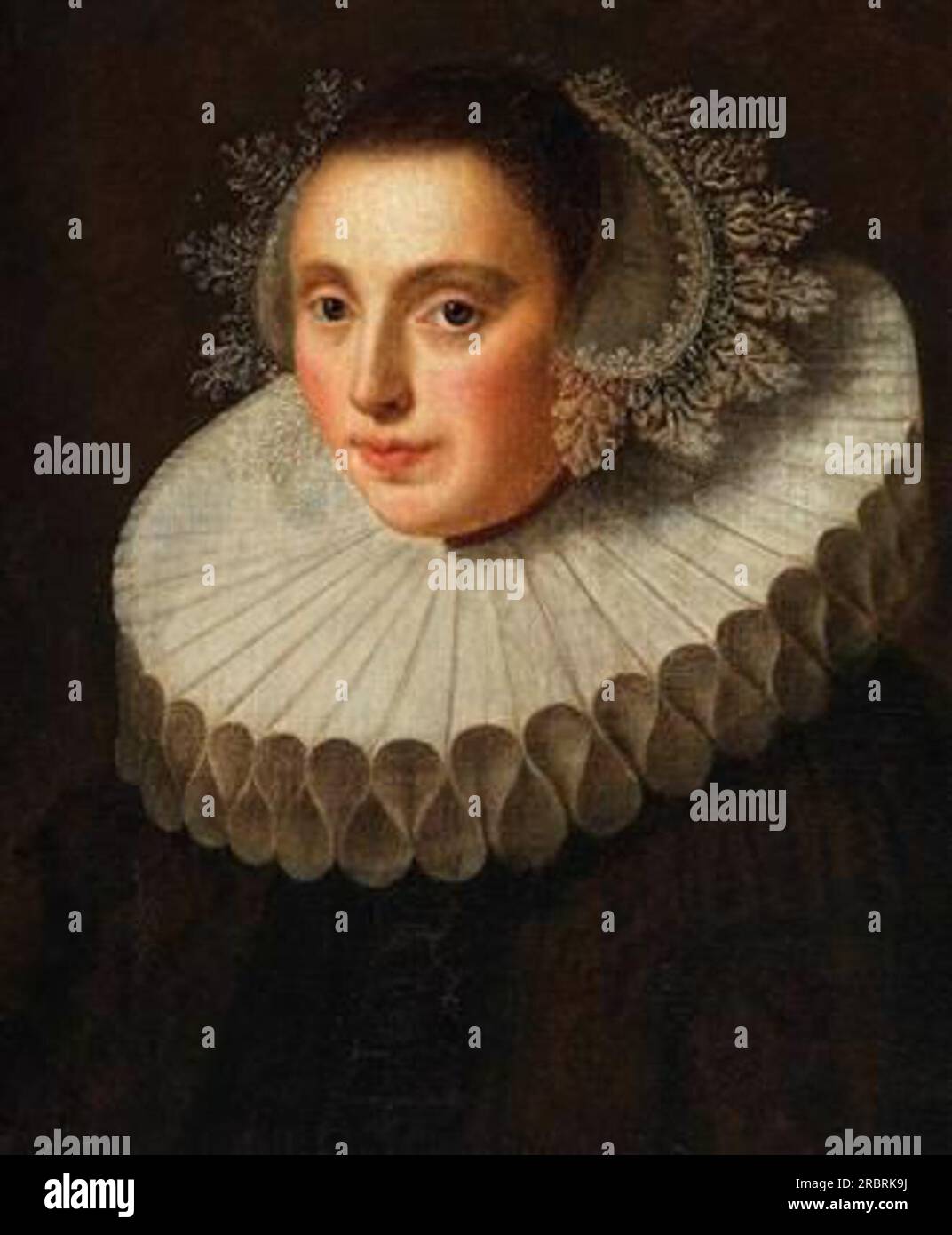 Cornelis de vos portrait of a lady hi-res stock photography and images - Alamy