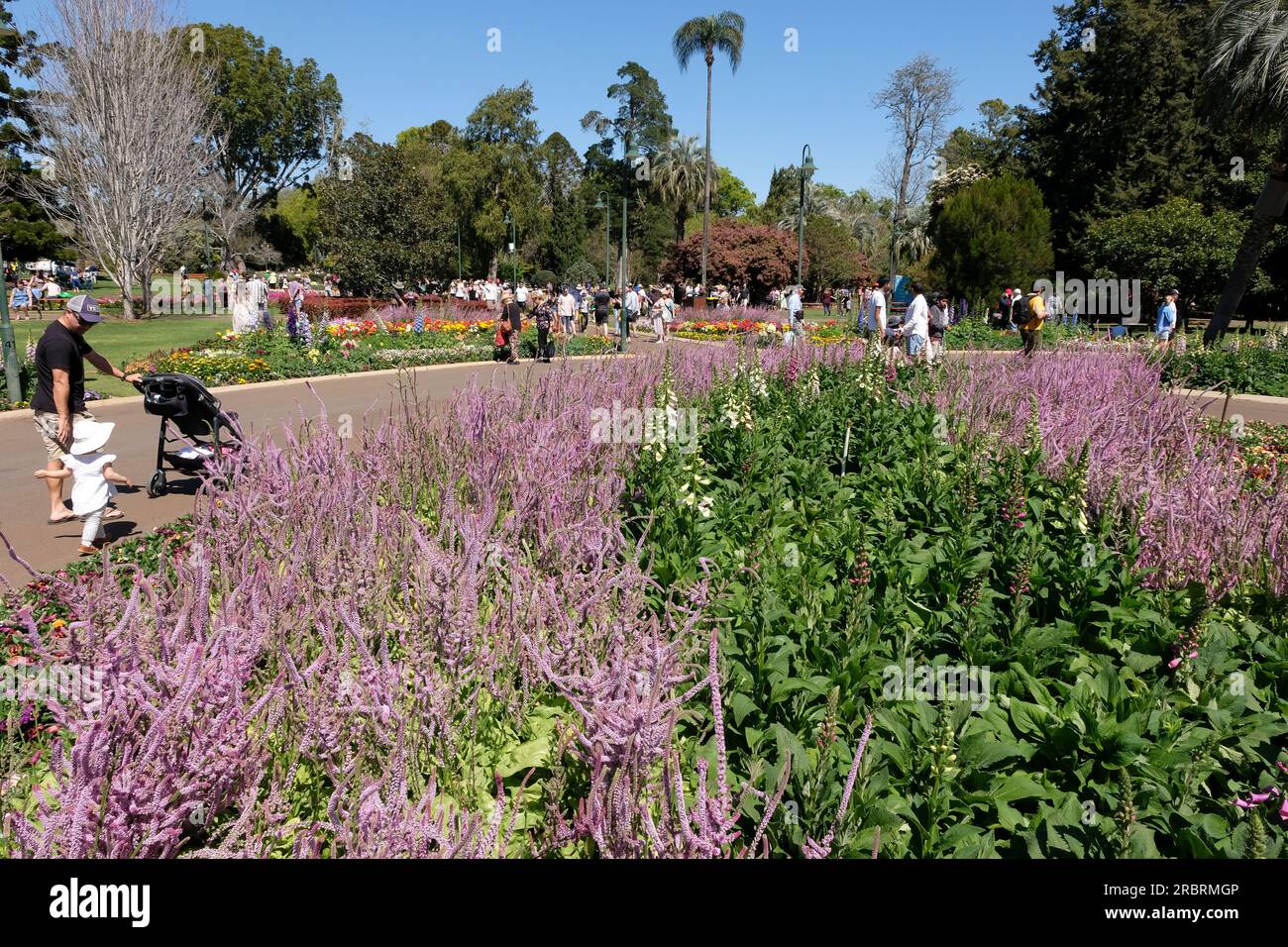 Toowoomba Carnival of Flowers - "Food & Wine Festival Stock Photo - Alamy