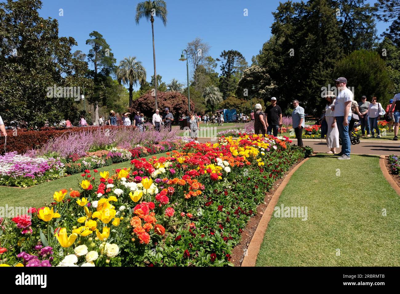 Toowoomba Carnival of Flowers - "Food & Wine Festival Stock Photo - Alamy