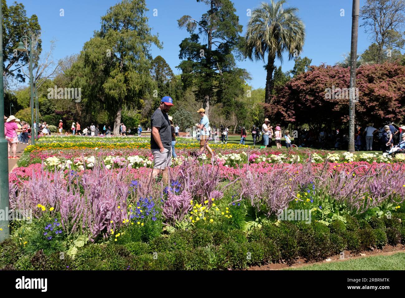 Toowoomba Carnival of Flowers - "Food & Wine Festival Stock Photo - Alamy