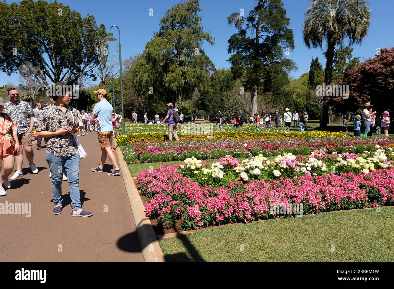 Toowoomba carnival of flowers hi-res stock photography and images - Alamy