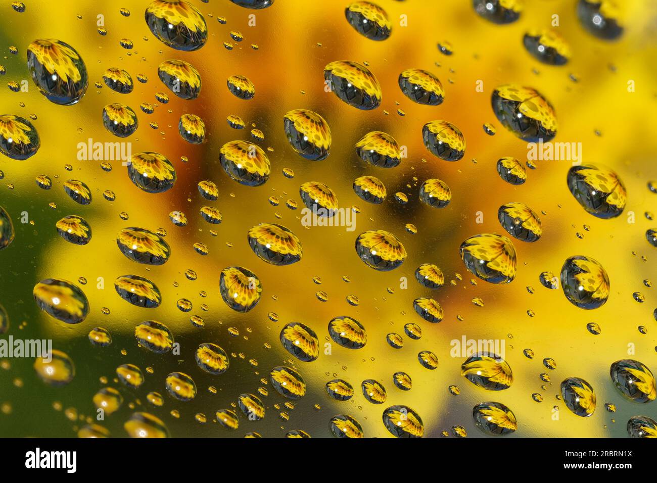 Drop lenses hi-res stock photography and images - Alamy